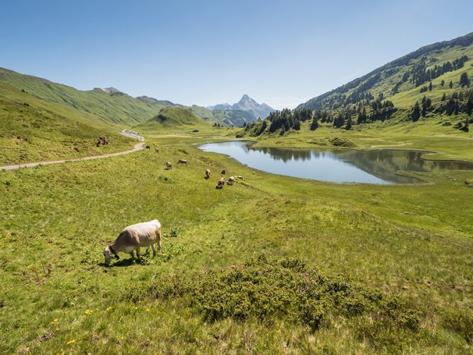 Die besten Aktivitäten im Bregenzerwald - The Frequent Traveller