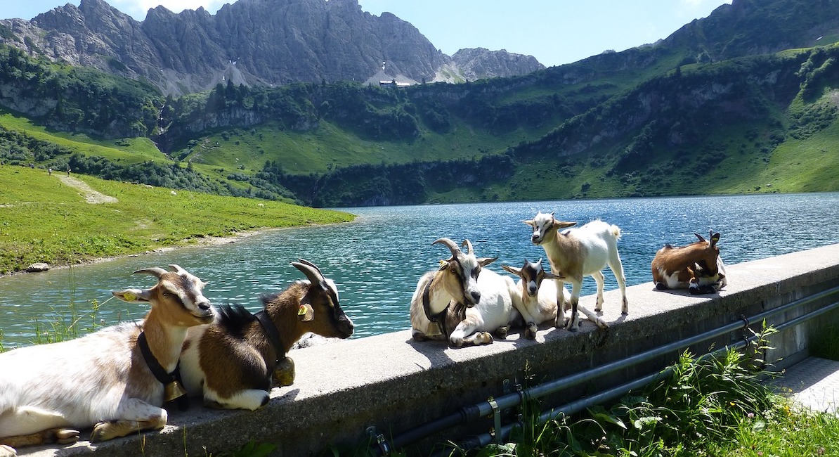 Tirol im Sommer: Die 5 schönsten Reiseziele